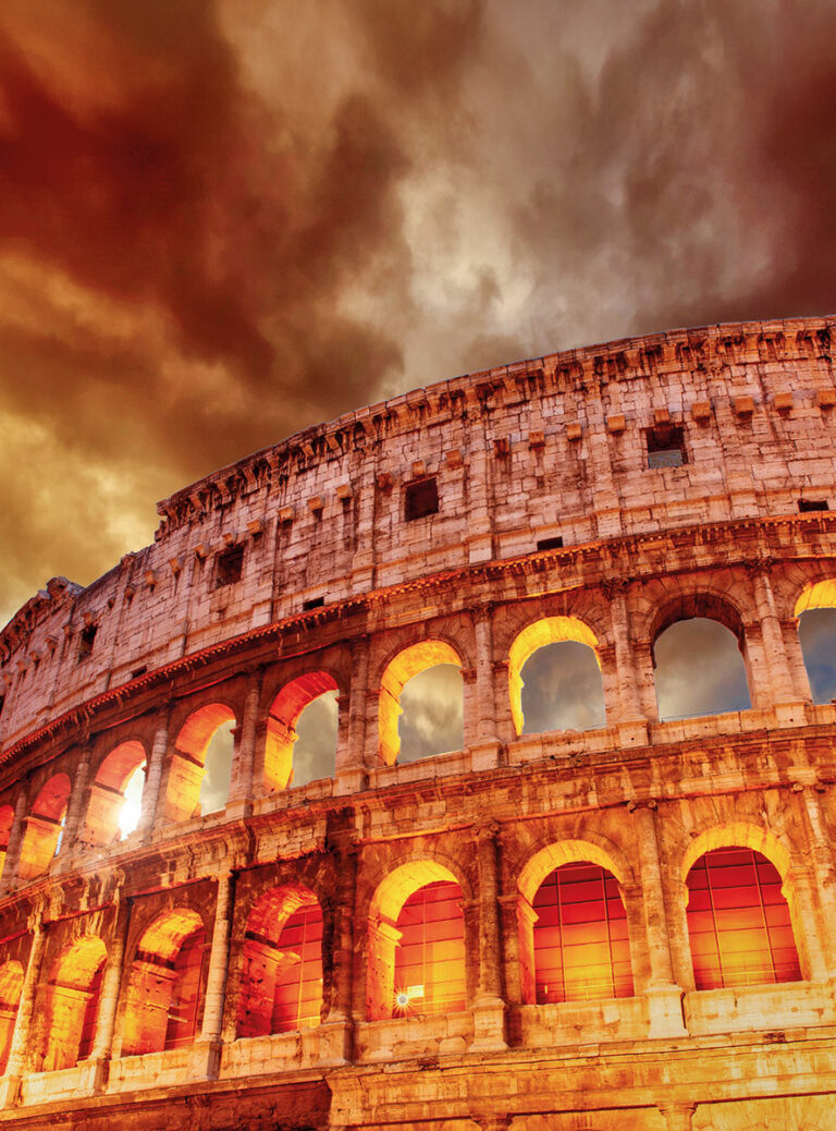 Gepard - JUNIOR Schweiz